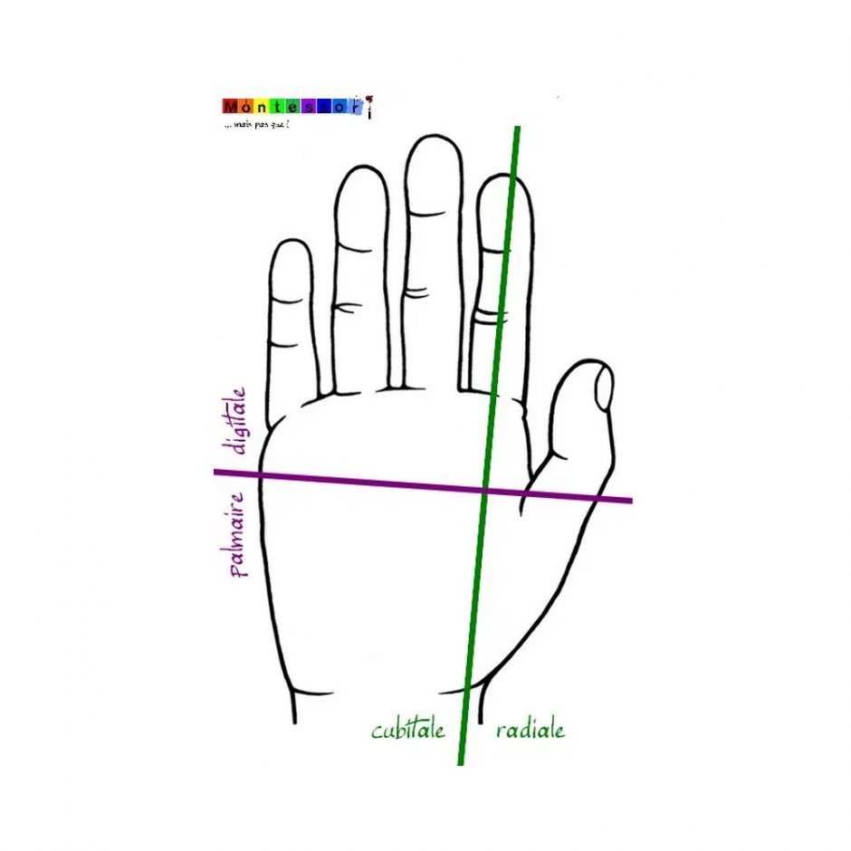 Téléchargements 0/3 ans – Montessori … mais pas que
